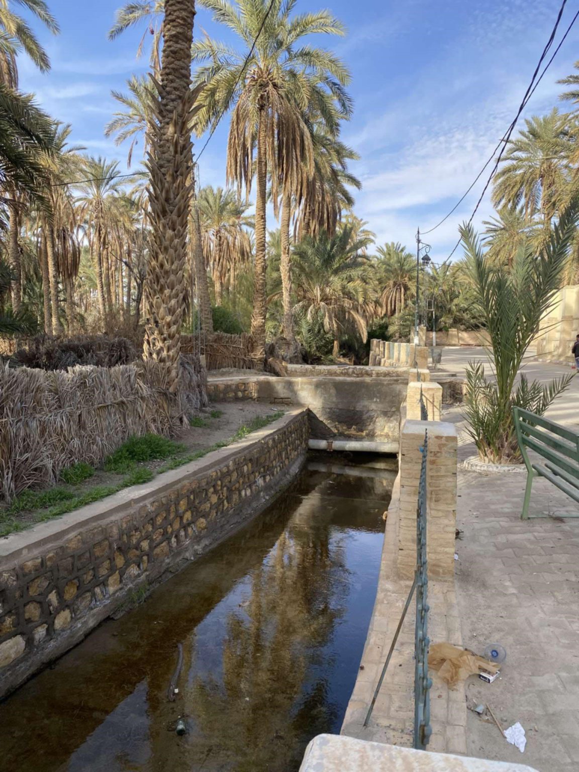 عبقرية ابن الشباط في توزيع مياه الري قبل 8 قرون - Arsco